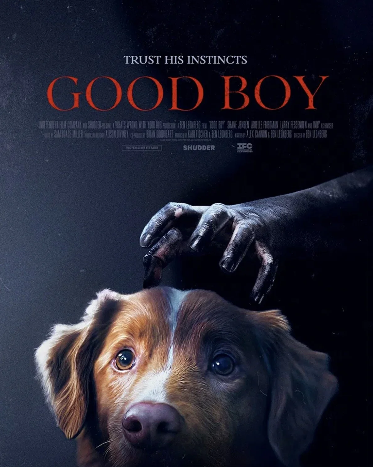 Creepy New Trailer for GOOD BOY Unleashes a Haunted House Horror from the Dog’s POV — GeekTyrant